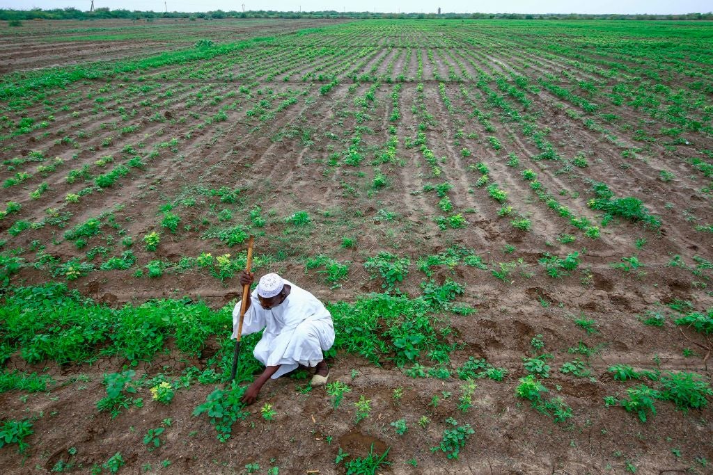 The State Of Play Fdi In Sudan Investment Monitor
