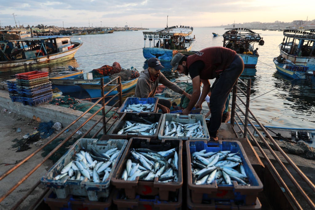 Can FDI help to achieve the targets of SDG14? - Investment Monitor